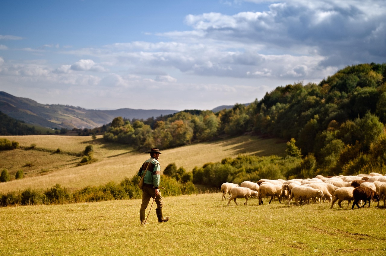 Homeopathy in Farming - Helen Campbell Homeopathy Foundation